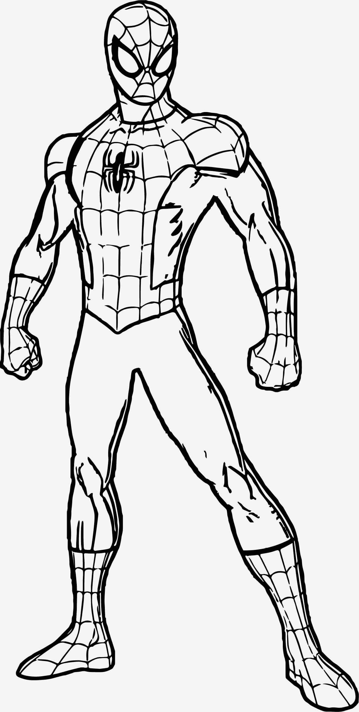 Kracht Van Spider Man Kleurplaat Kinderen Kleurplaat